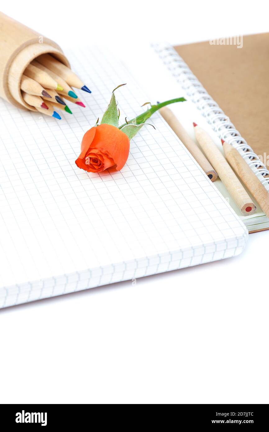 Colored pencils, notebooks and rose flowers isolated on white ...