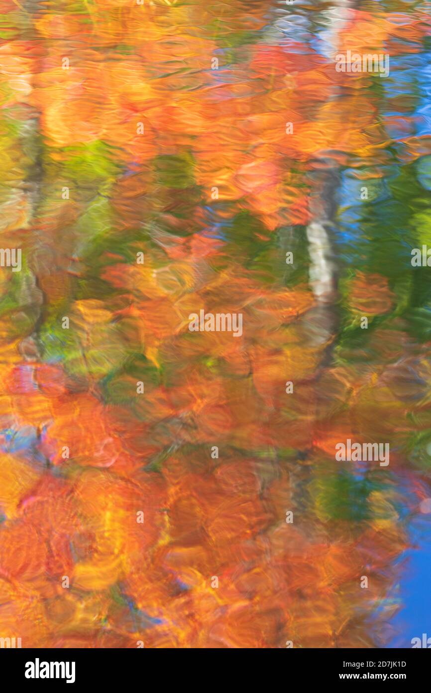 Autumn's colors reflected in a body of water in northern Wisconsin ...