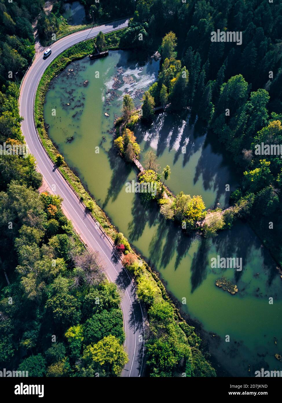 Forest pond road hi-res stock photography and images - Alamy