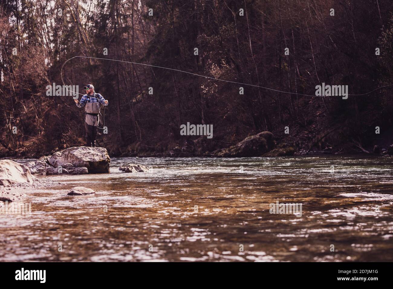 Mid water fish hi-res stock photography and images - Alamy