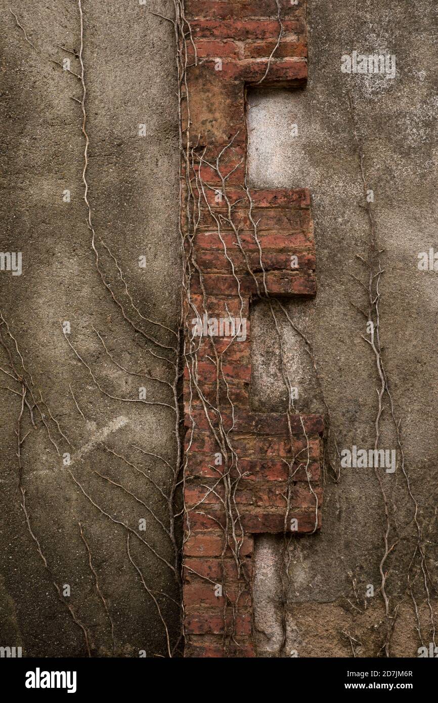 Dead Branches High Resolution Stock Photography and Images - Alamy