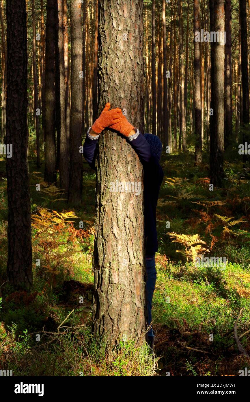 Mature woman hugging tree in forest hi-res stock photography and images ...