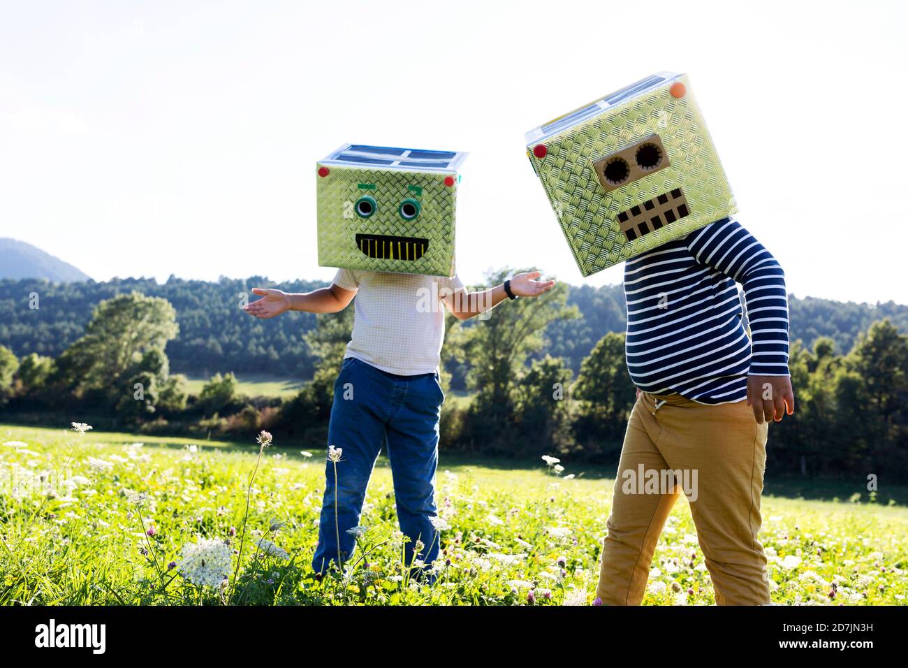 Boys covered face with smiling and robot box while playing in meadow ...