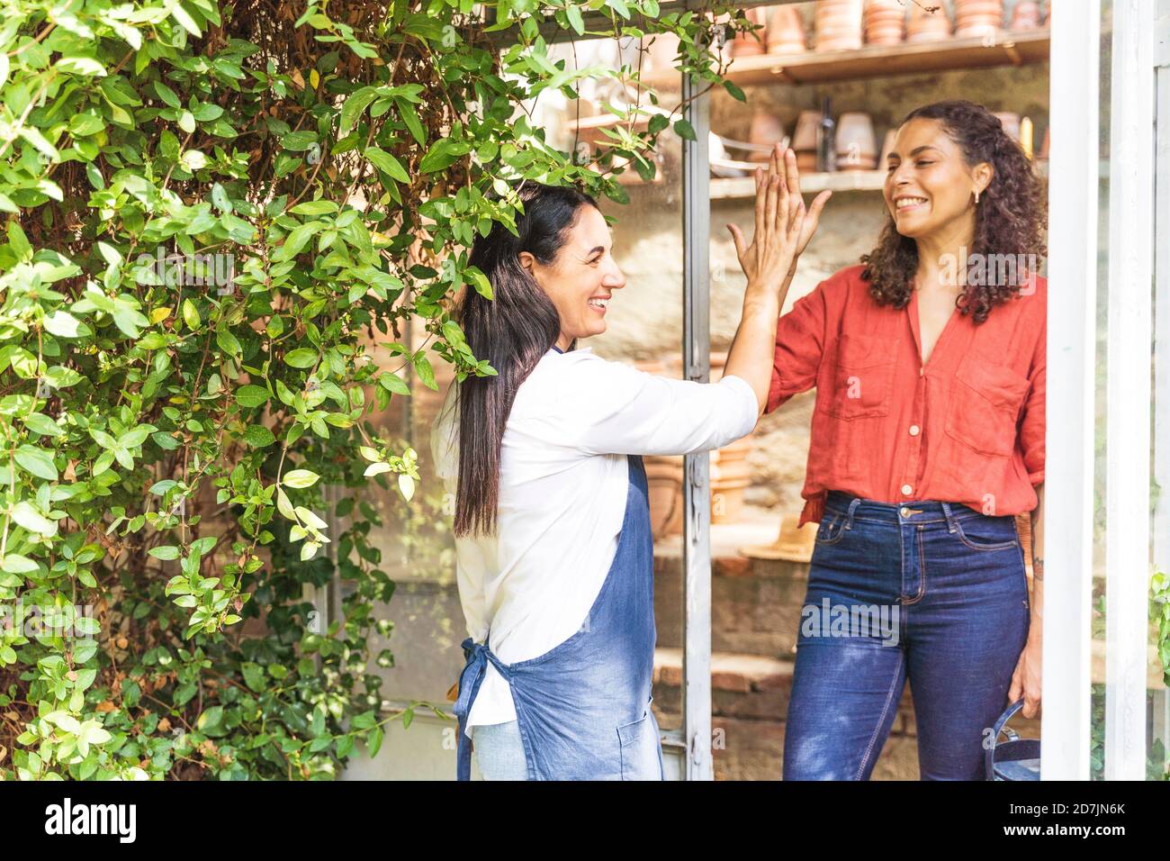 Female friends giving high five while standing in back yard Stock Photo ...