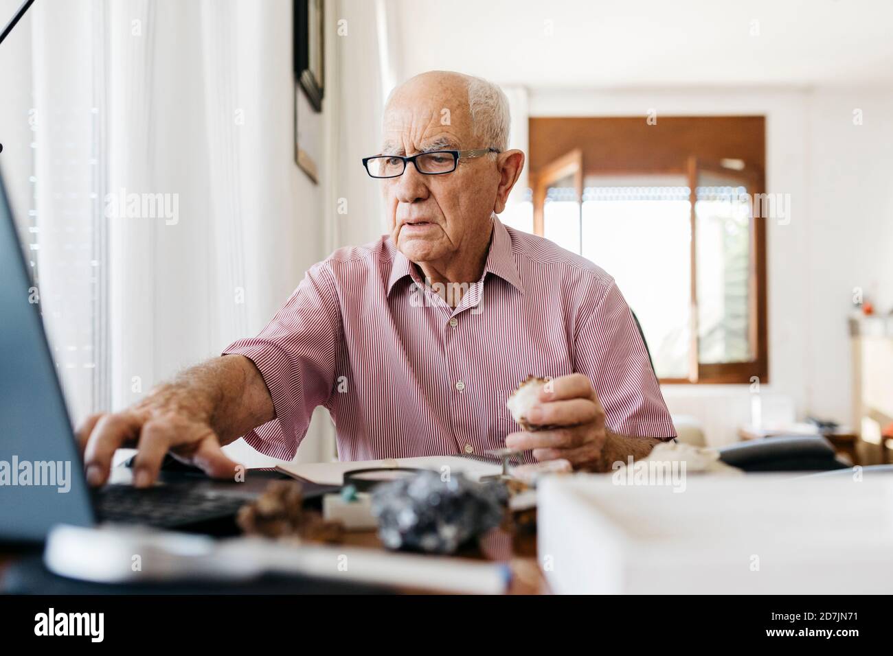 Retired elderly man using laptop while doing research on fossils and ...