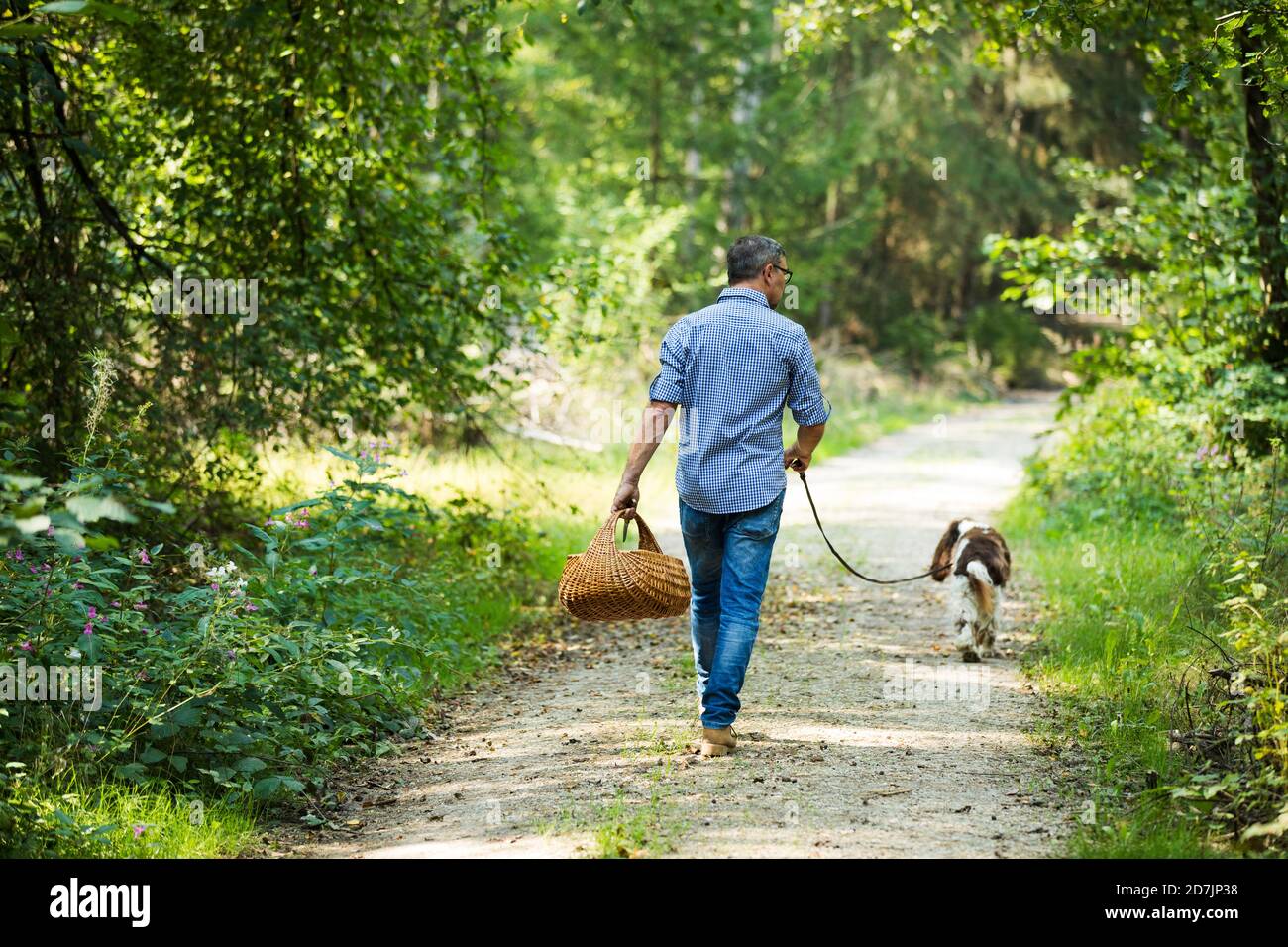 Rear view man walking dog hi-res stock photography and images - Alamy