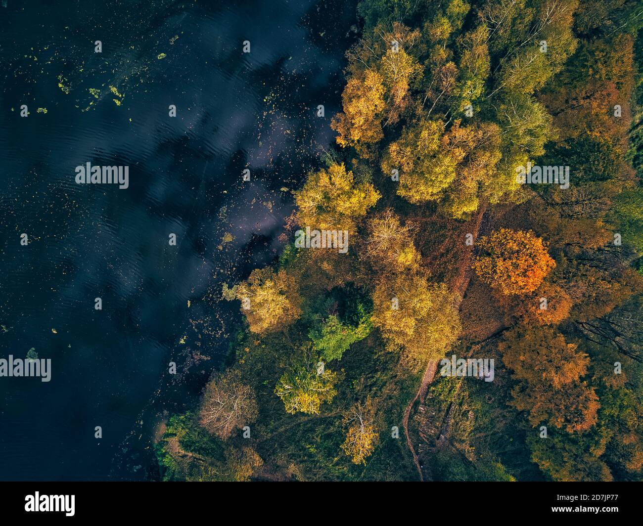 Aerial view of Bethany pond and tree Stock Photo - Alamy