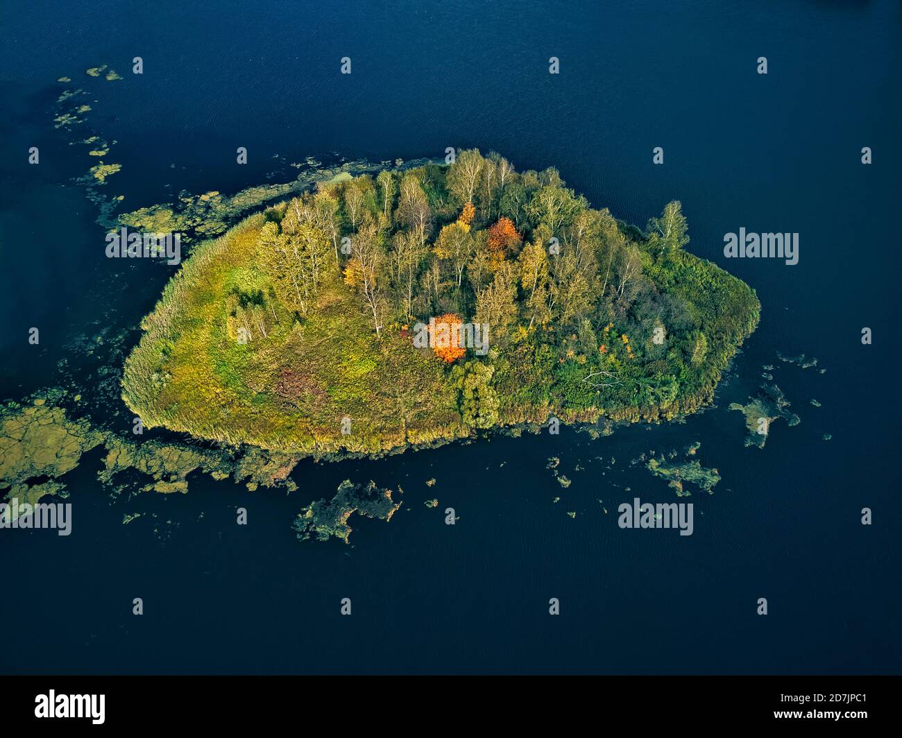 Aerial view of autumn trees on small green island at Bethany Pond ...