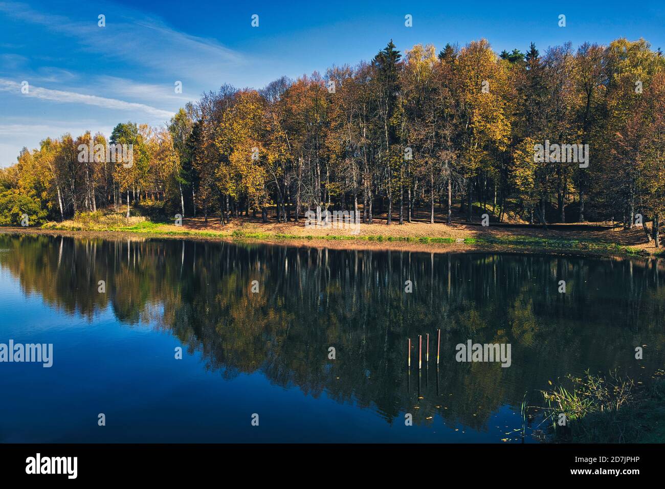 Reflecting forest hi-res stock photography and images - Alamy