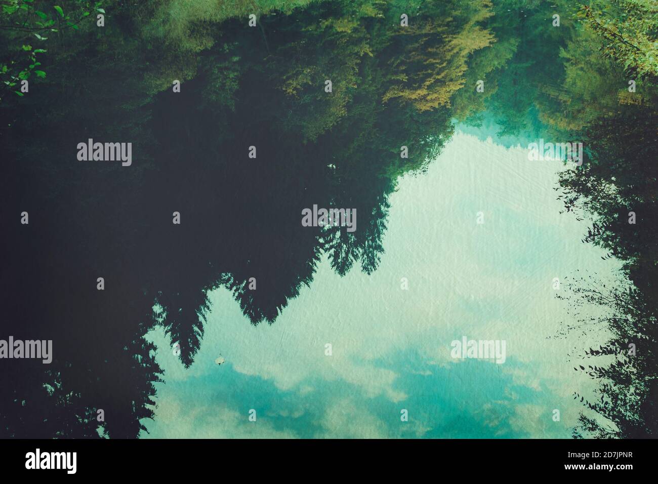 Shiny lake reflecting surrounding forest trees Stock Photo - Alamy