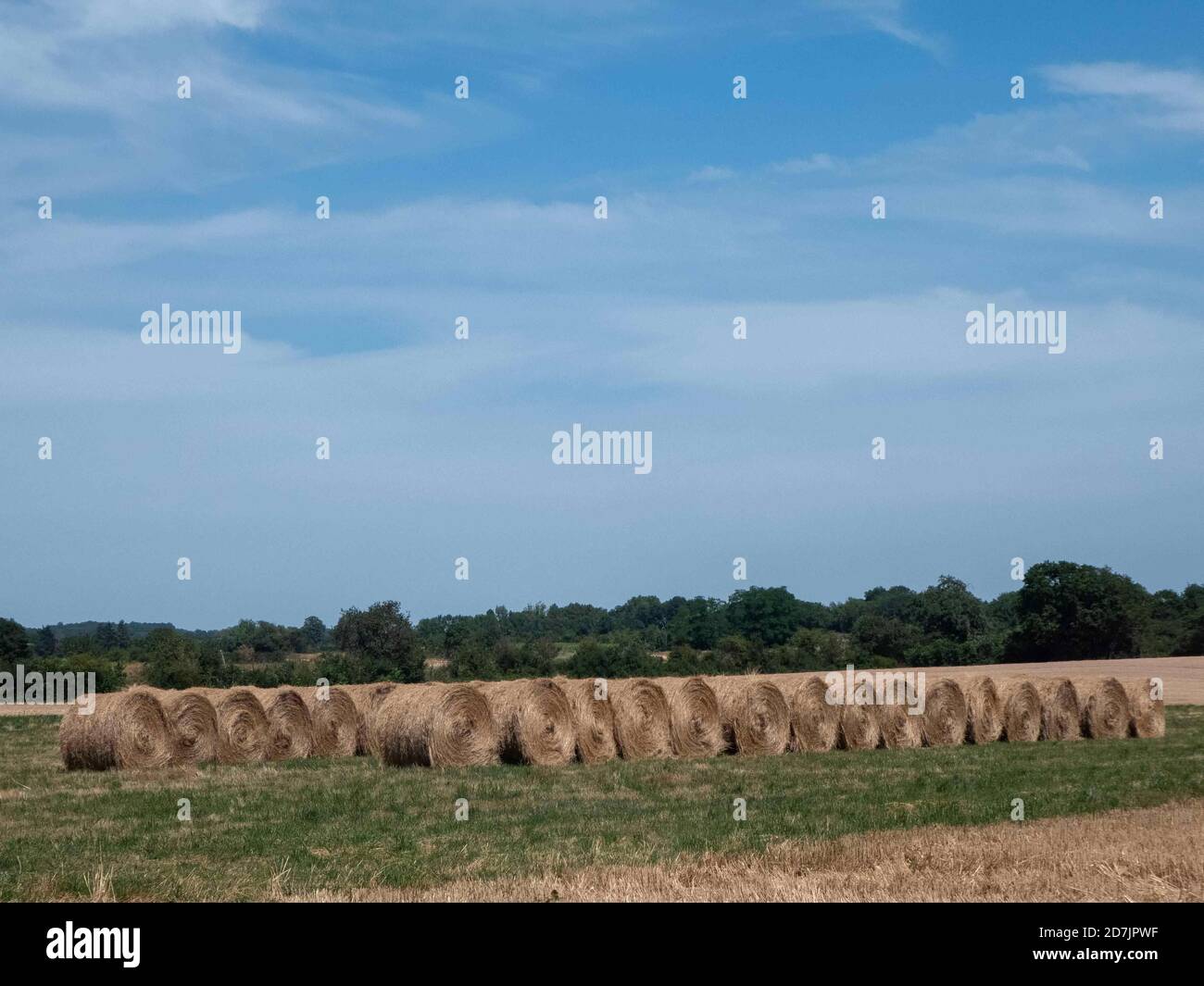 a neat row of round hay bales on a bright summers day a neat row of ...