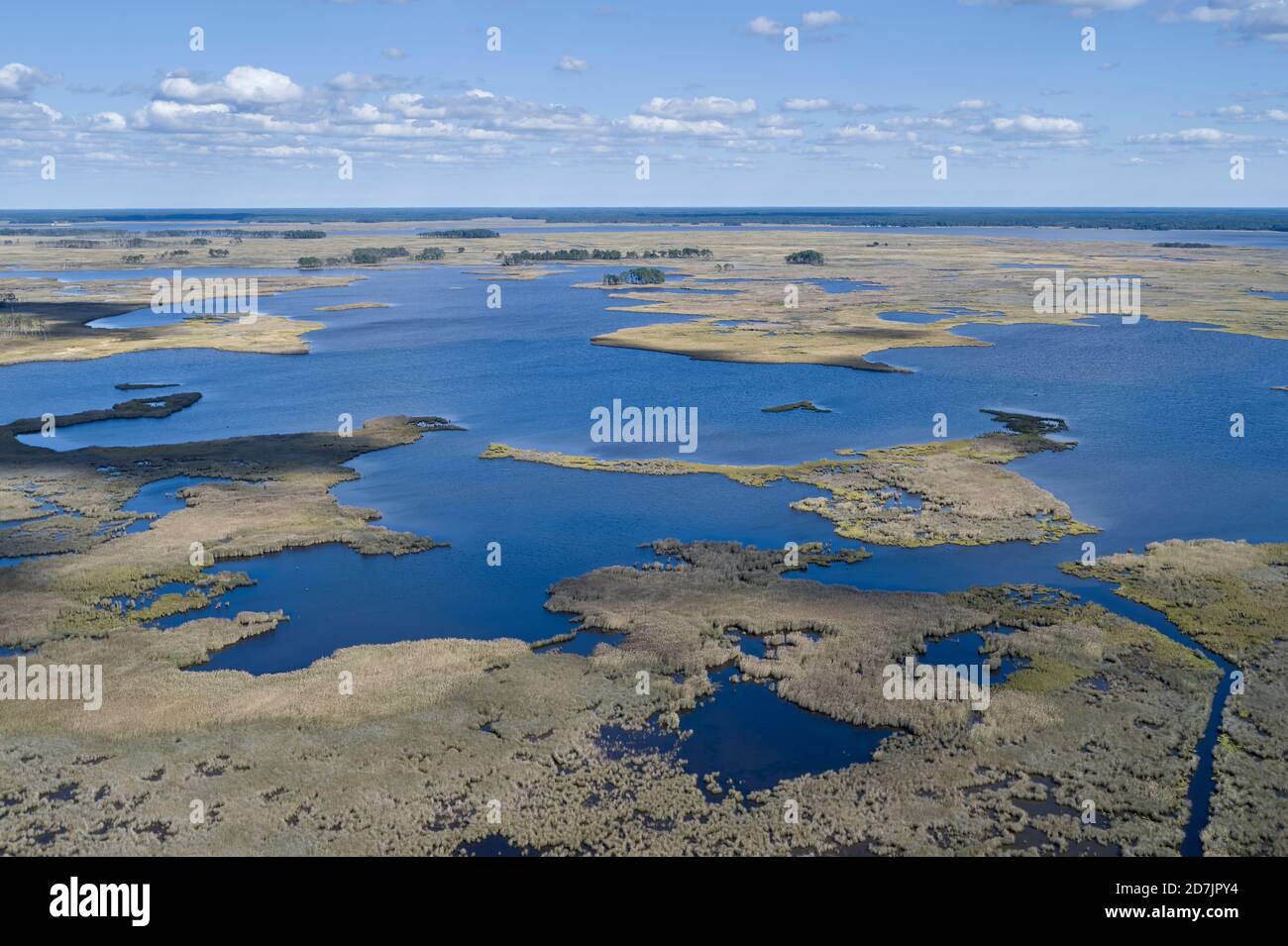 USA, Maryland, Drone view of marshes along Nanticoke River on Eastern ...