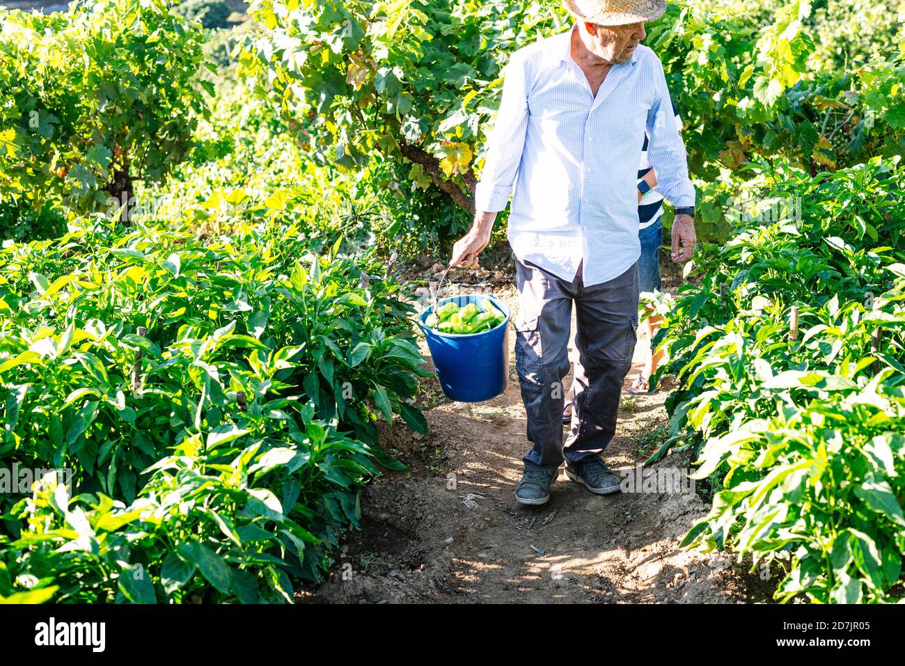 Boy carrying bucket hi-res stock photography and images - Alamy