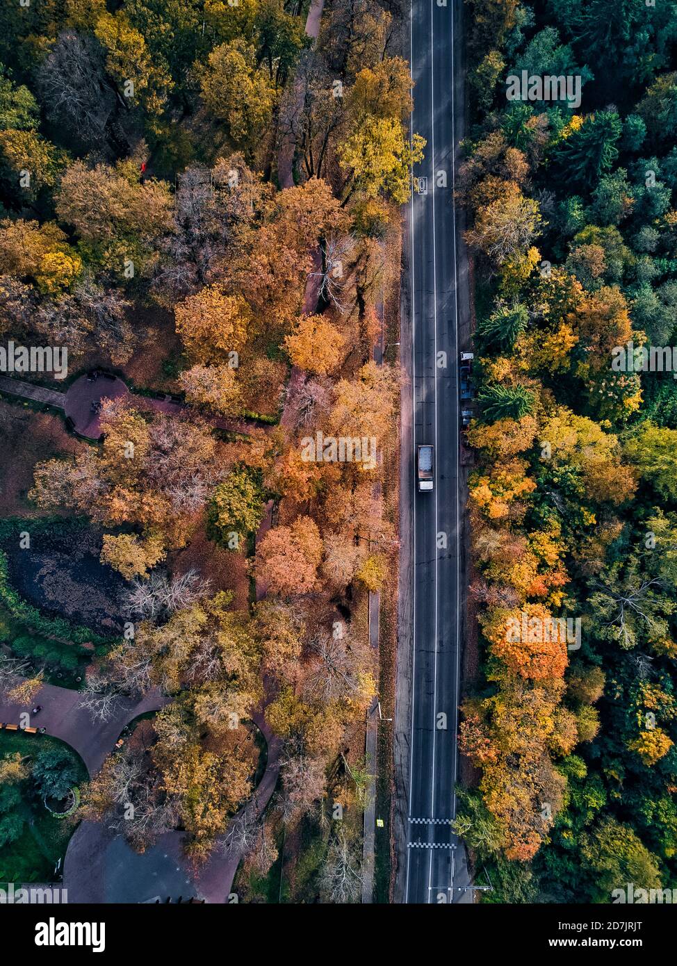 Road covered with trees Stock Photo - Alamy