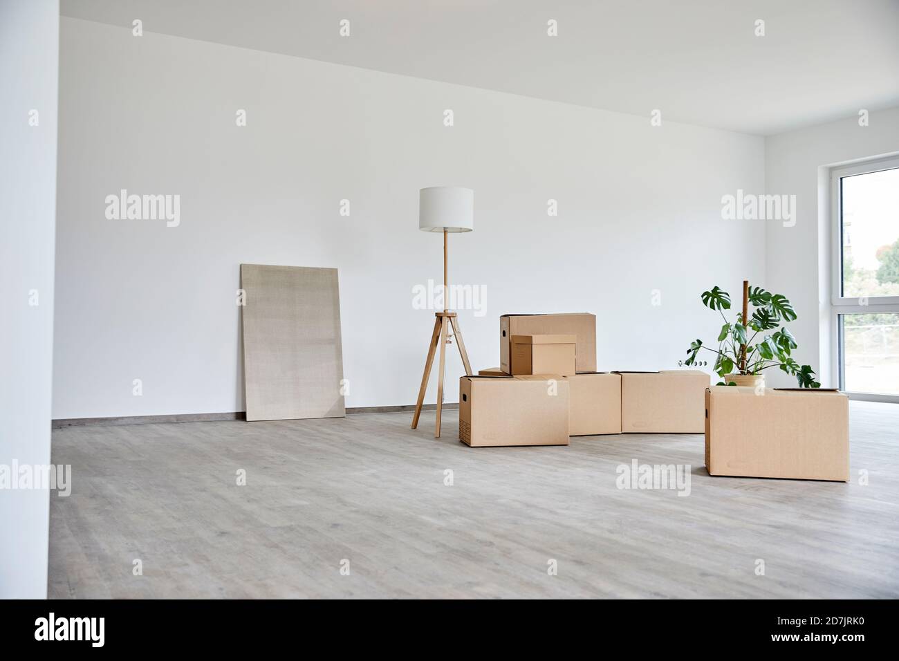 Cardboard plant hi-res stock photography and images - Alamy