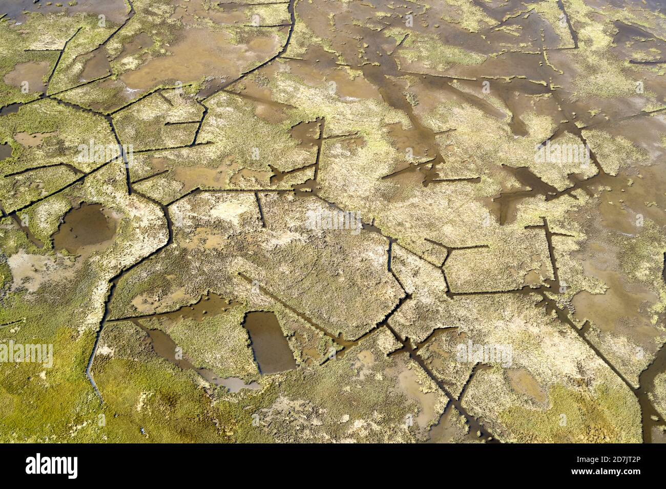 USA, Maryland, Drone view of marshes along Nanticoke River on Eastern ...