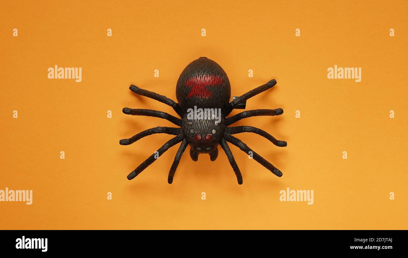 Black clockwork plastic toy spider on a orange background, close up ...