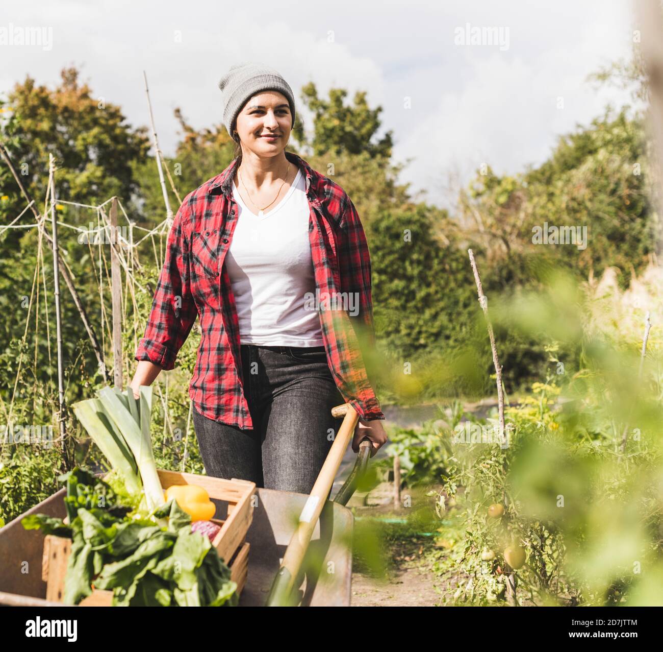 Woman with wheelbarrow hi-res stock photography and images - Alamy
