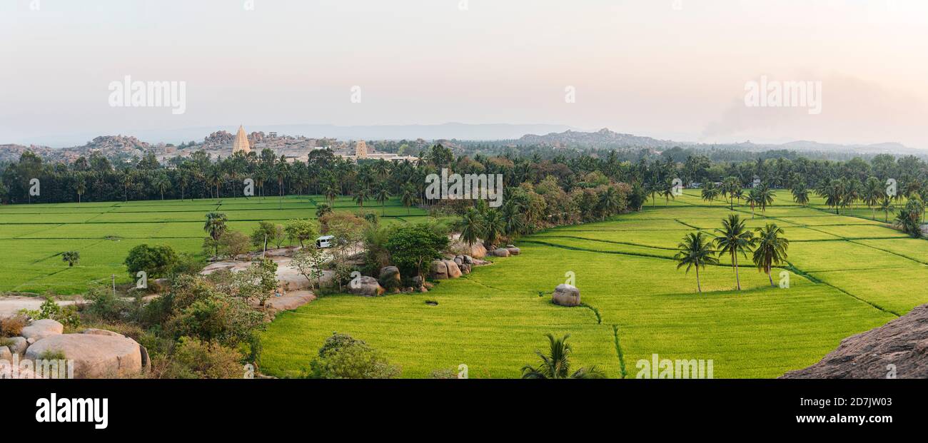 India, Karnataka, Hampi, Panorama of green vast rice paddies at dusk ...