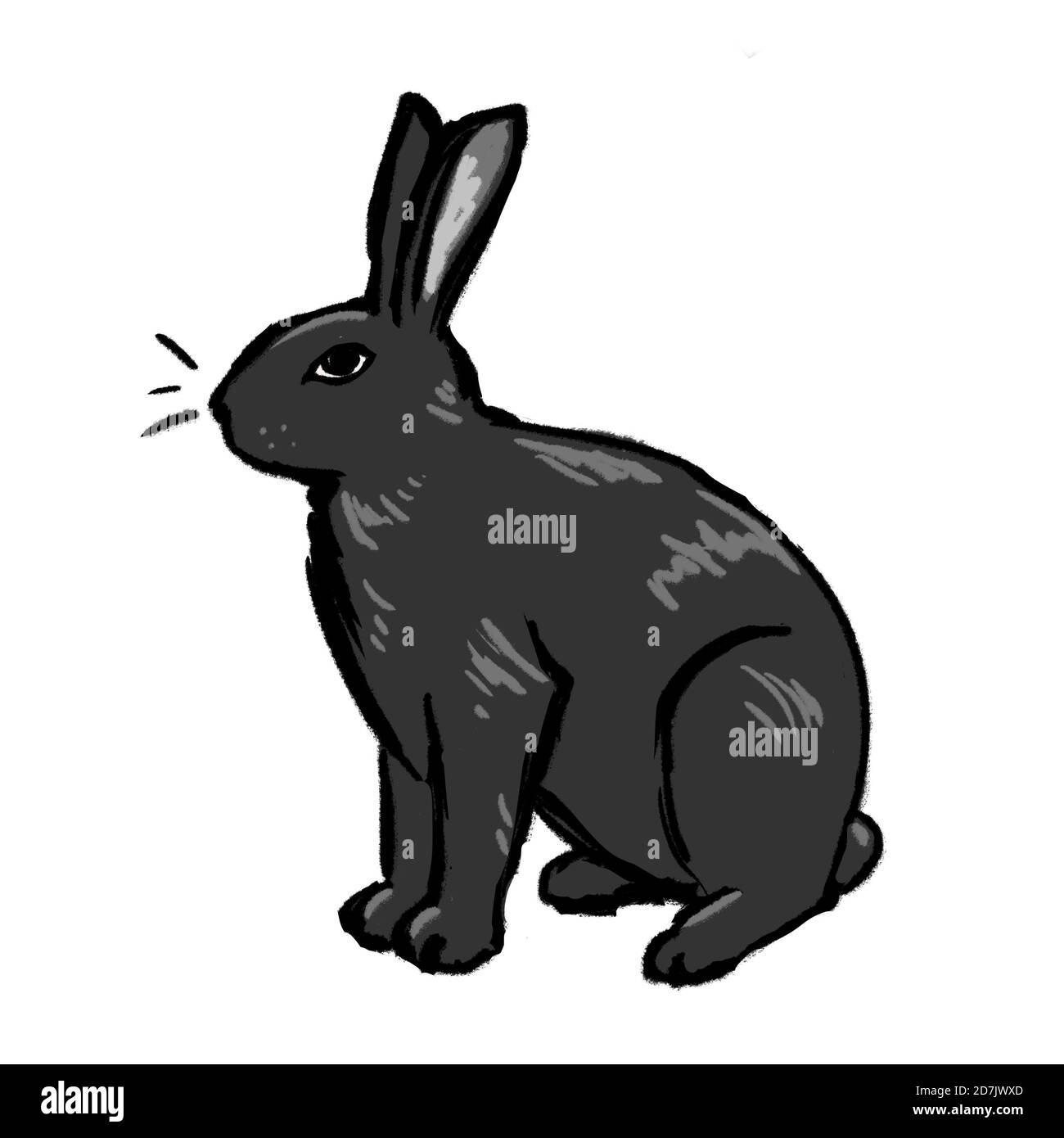 Grey rabbit hi-res stock photography and images - Alamy