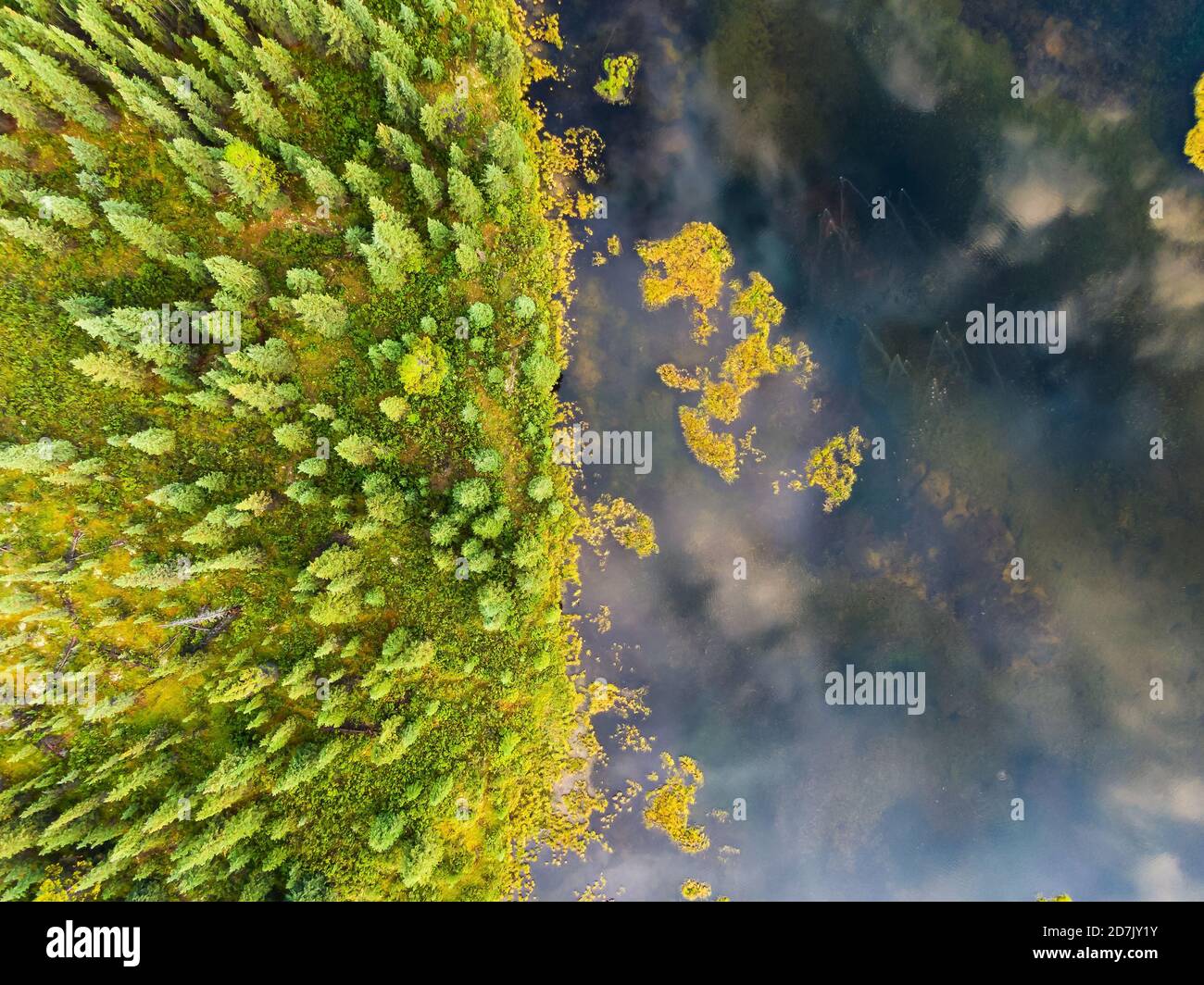 Aerial view of colorful pond in the marshlands Stock Photo - Alamy