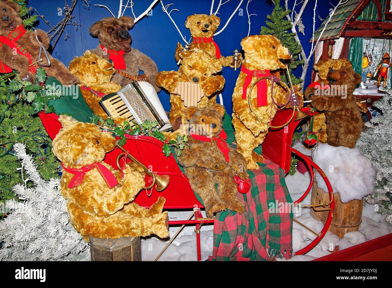Bear paradise hi-res stock photography and images - Alamy