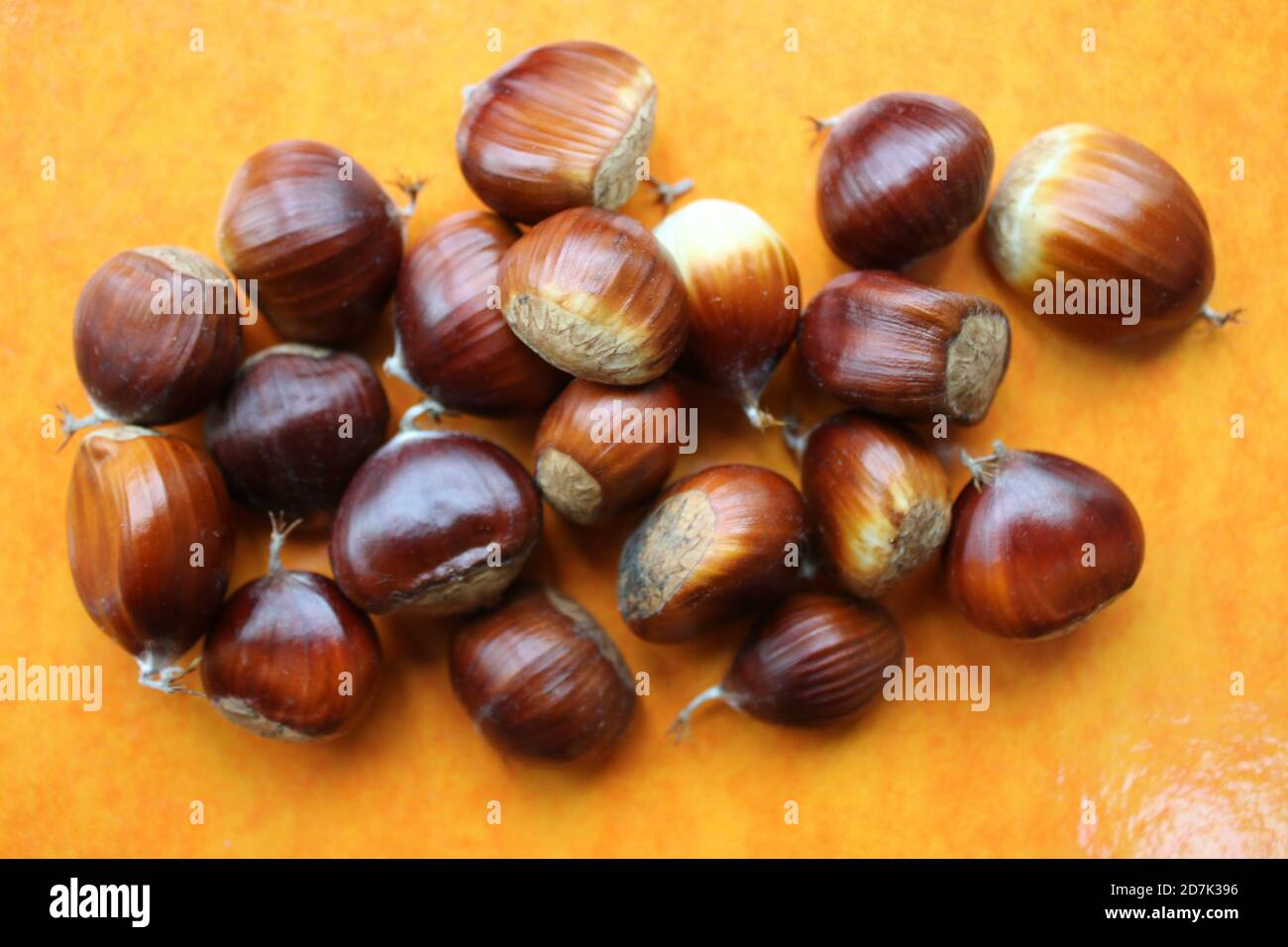 Shiny brown nut shells hi-res stock photography and images - Alamy