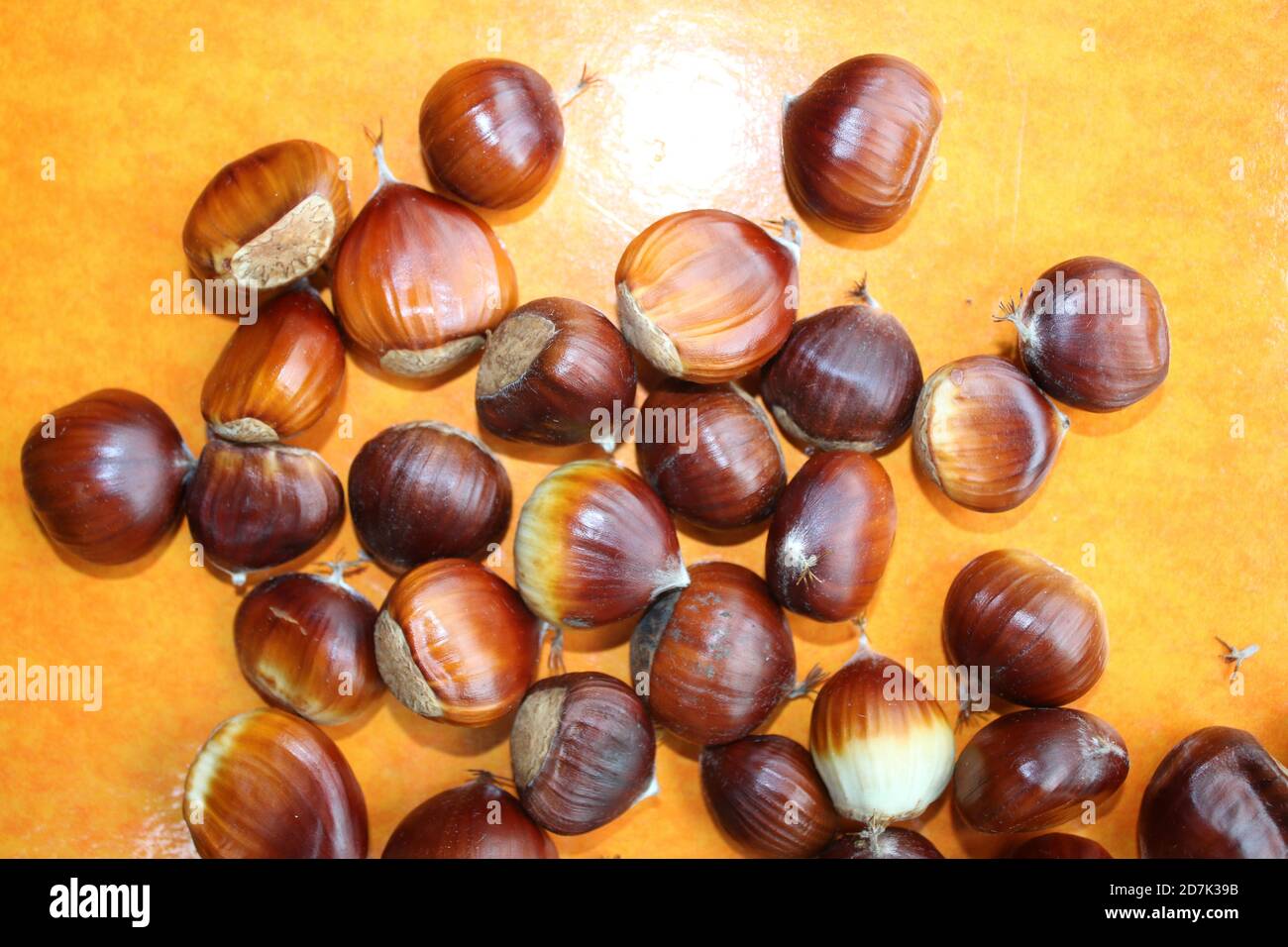 Shiny brown nut shells hi-res stock photography and images - Alamy
