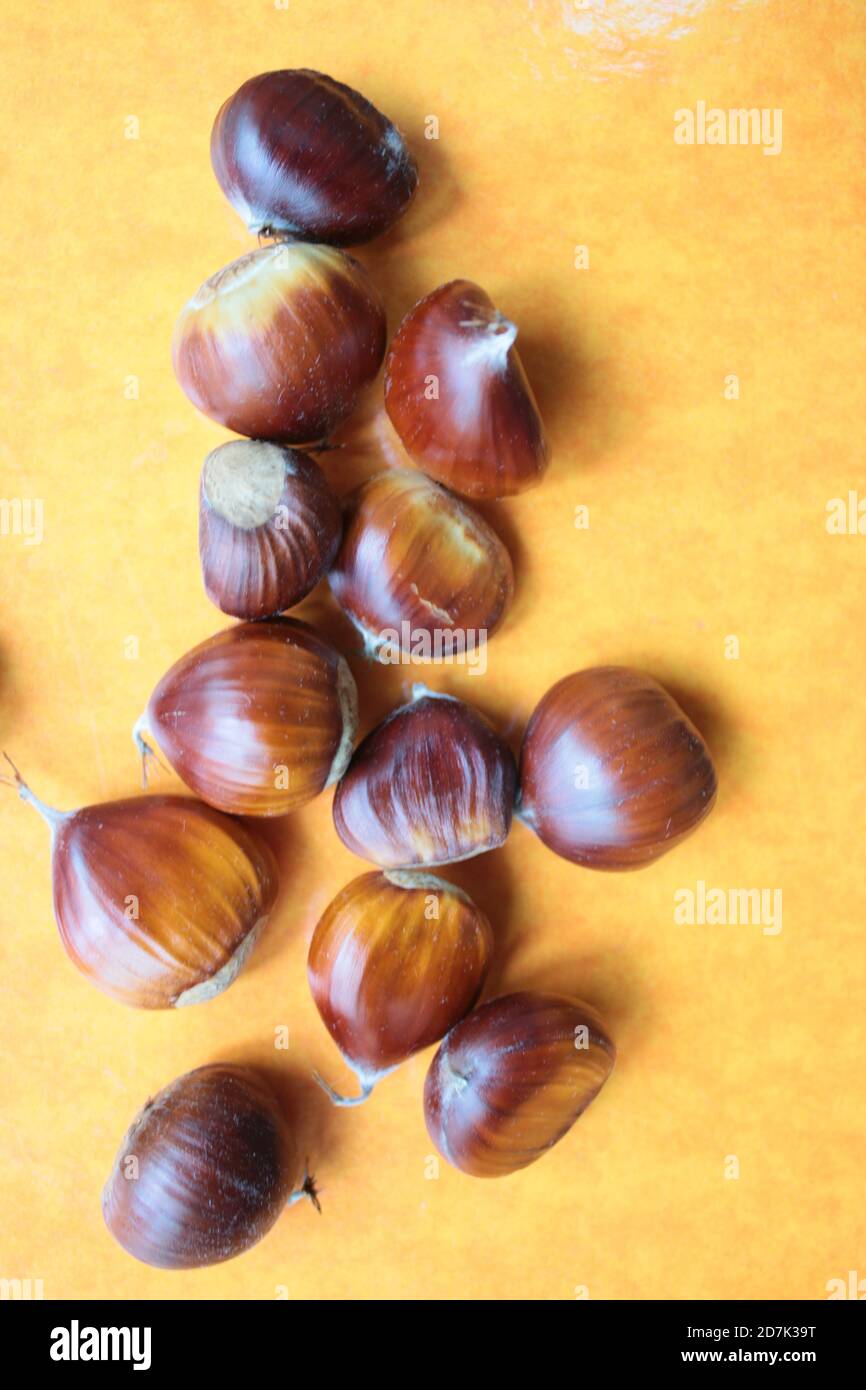 Shiny brown nut shells hi-res stock photography and images - Alamy