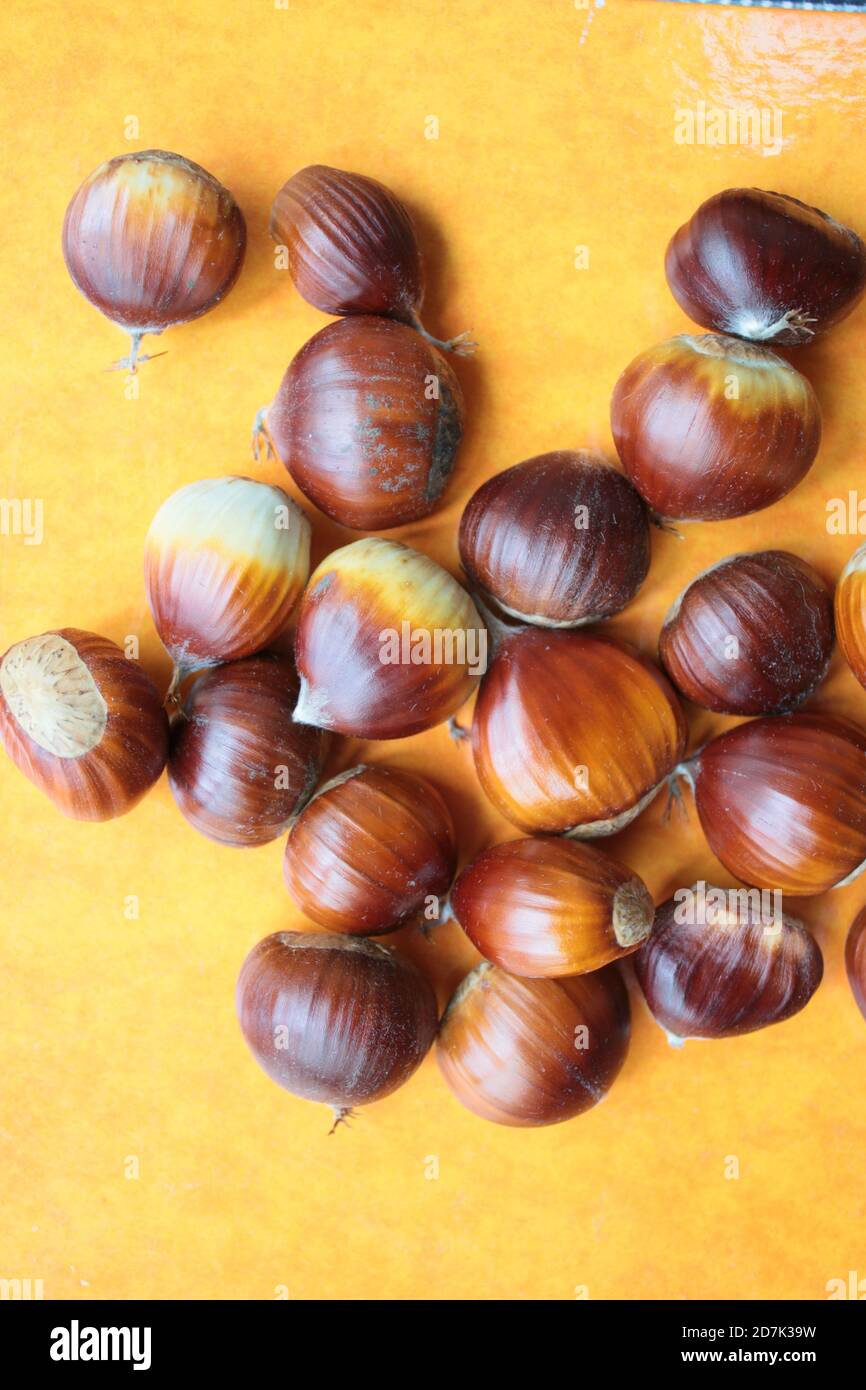 Shiny brown nut shells hi-res stock photography and images - Alamy
