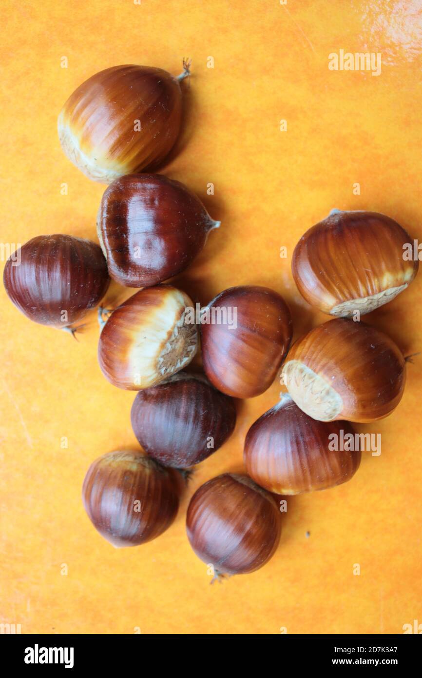 Shiny brown nut shells hi-res stock photography and images - Alamy