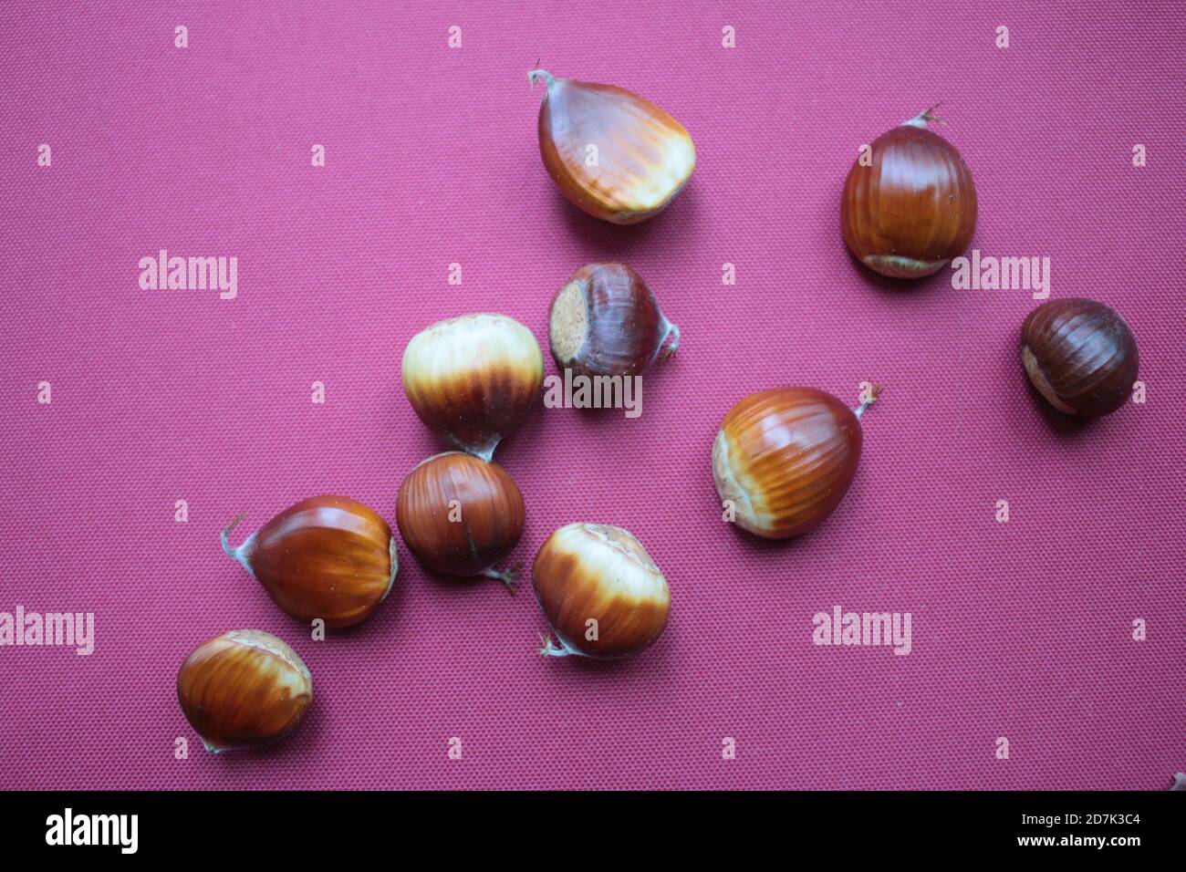 Shiny brown nut shells hi-res stock photography and images - Alamy