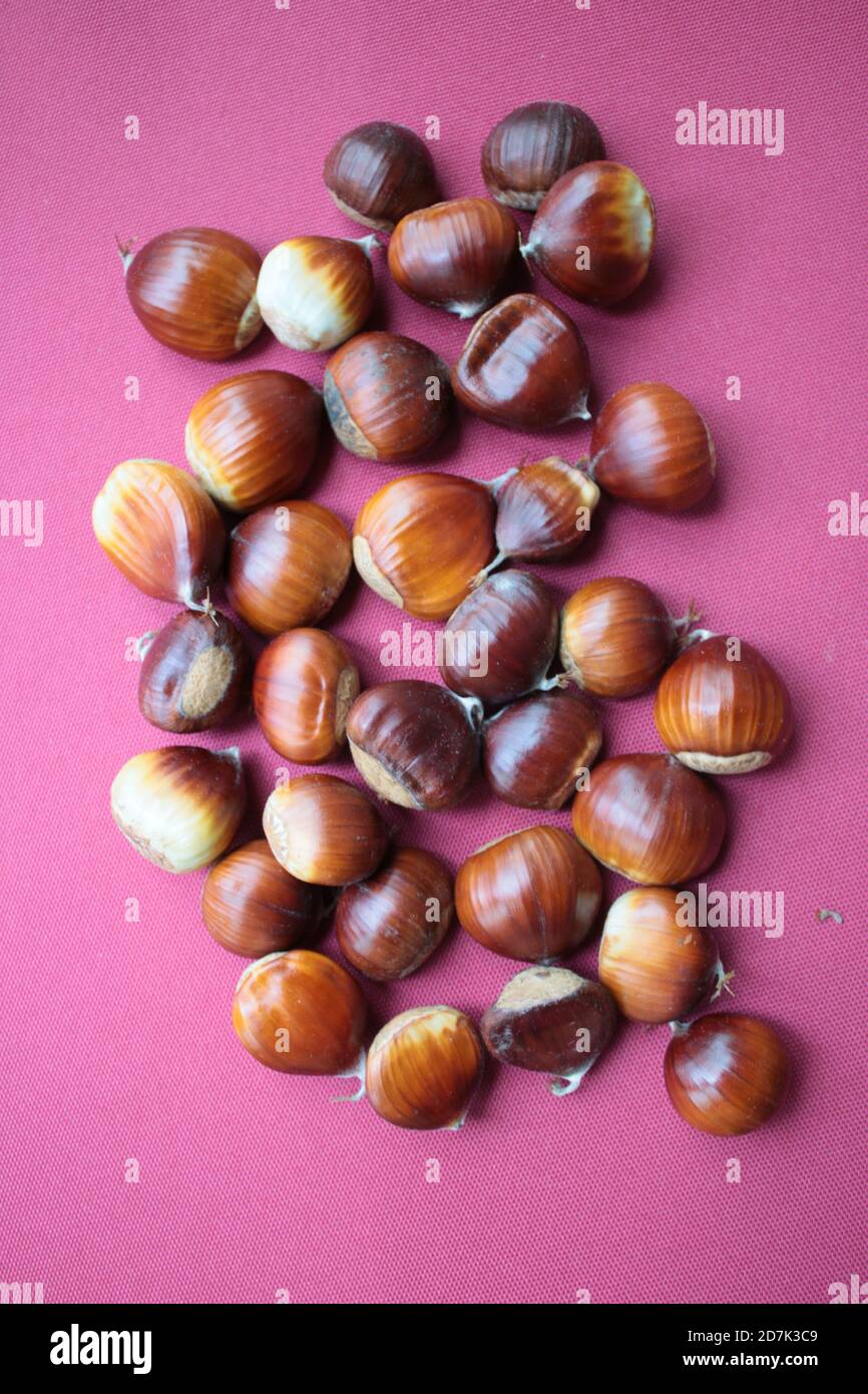 Shiny brown nut shells hi-res stock photography and images - Alamy