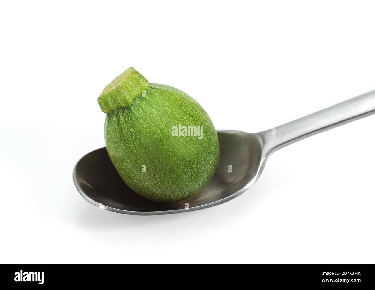 MINIATURE ROUND COURGETTE OR MINIATURE ZUCCHINI AGAINST WHITE ...