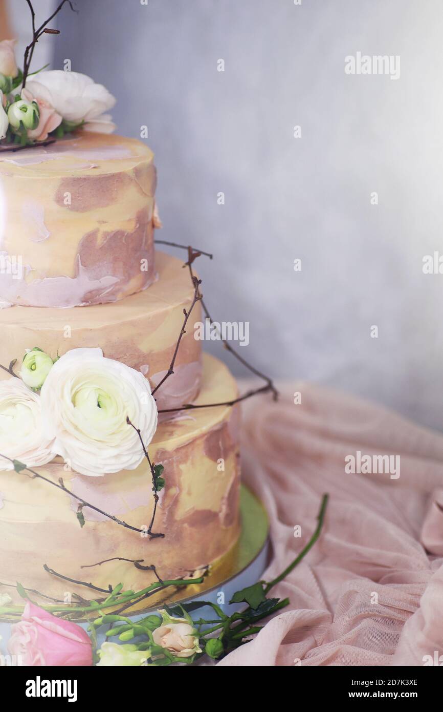 Beautiful festive cake biscuit with different creams Stock Photo - Alamy