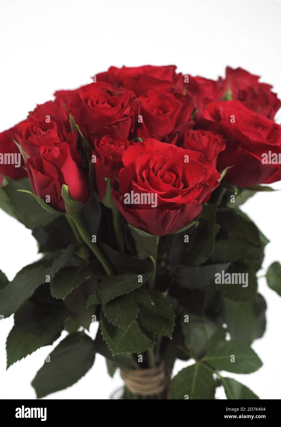 RED ROSES FOR SAINT VALENTINE'S DAY Stock Photo - Alamy