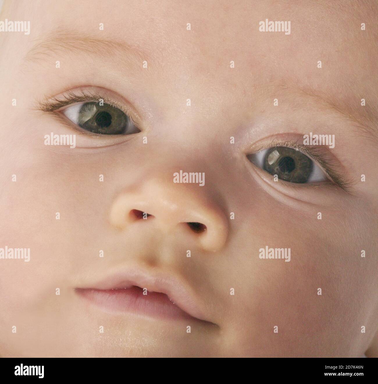 BABY, HEAD CLOSE-UP OF BOY AGAINST WHITE BACKGROUND Stock Photo - Alamy