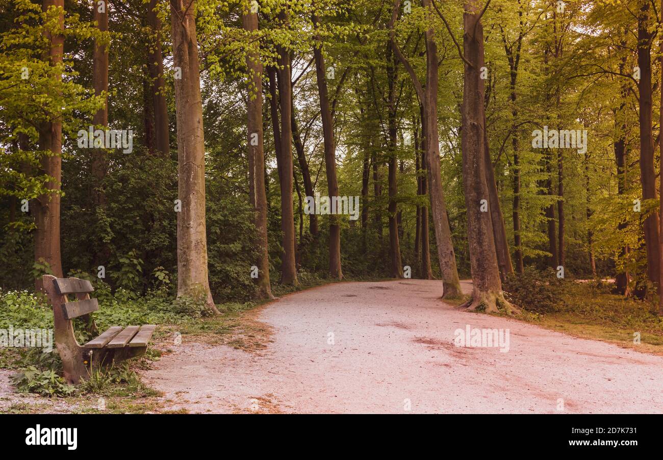 Scenic woods plaza hi-res stock photography and images - Alamy
