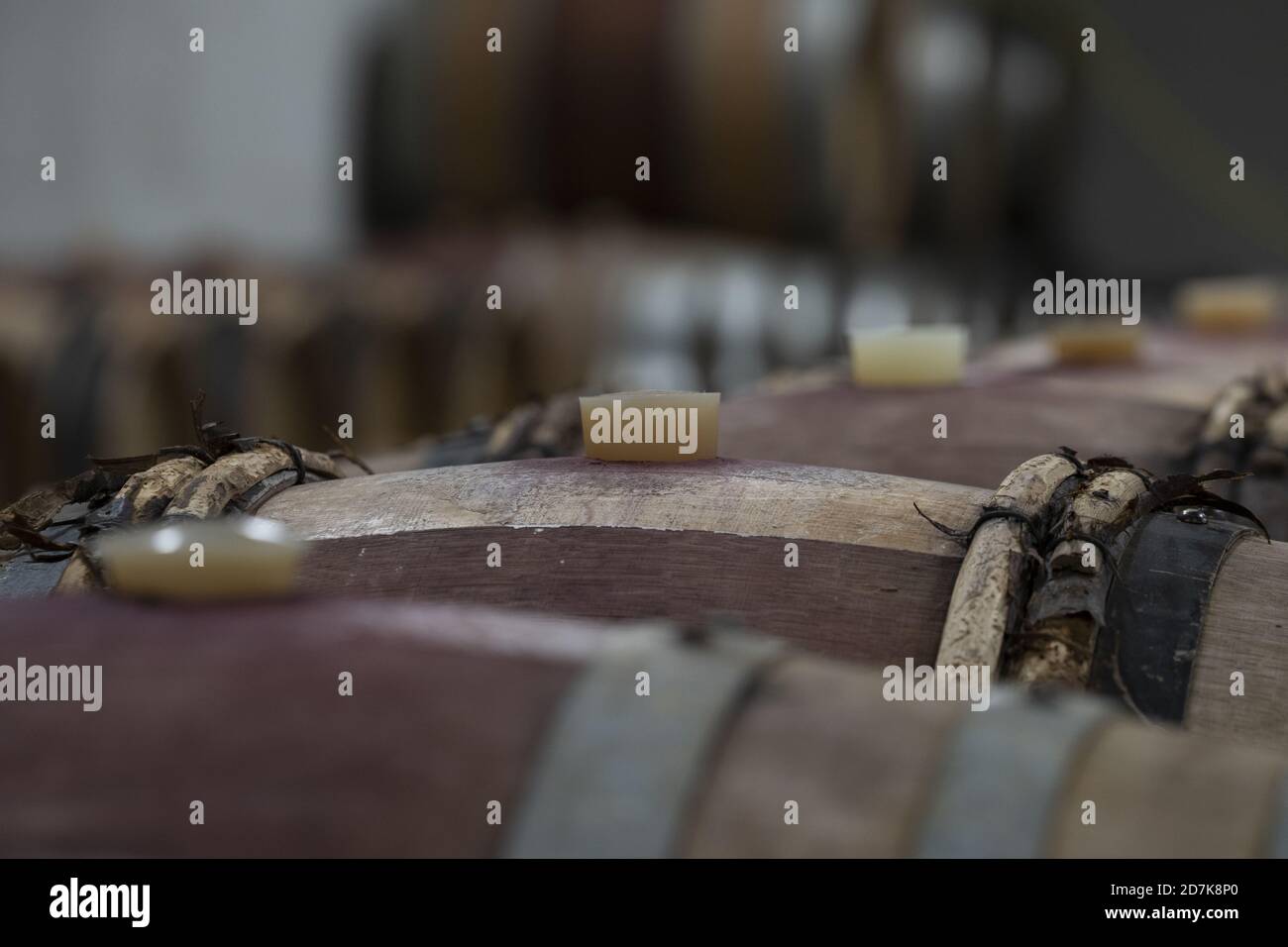Focus on a rubber bung on a wooden wine barrel in a cellar Stock Photo ...