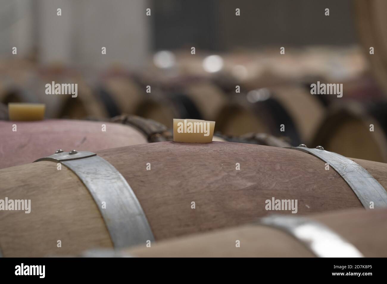 Rubber bung on a wooden wine barrel in a newly constructed cellar Stock ...