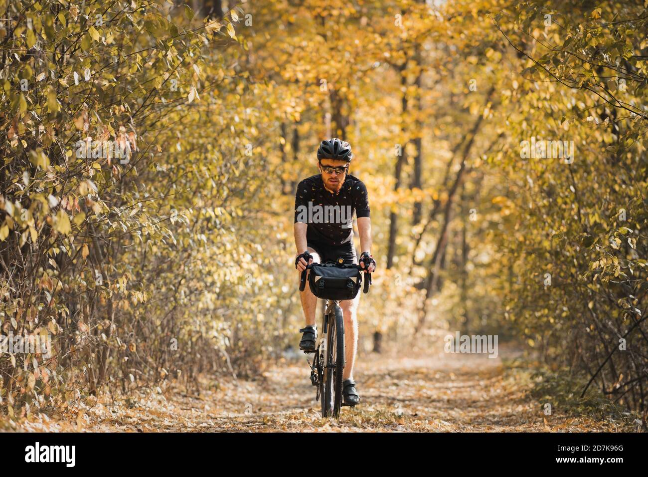 Bicycle tourism: man rides a touring bike through the forest ...