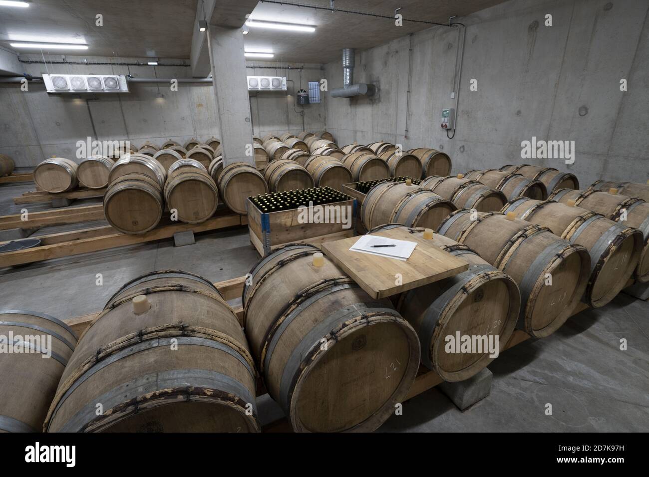 Many oak wooden barrels in vintage, traditional wine factory Stock ...