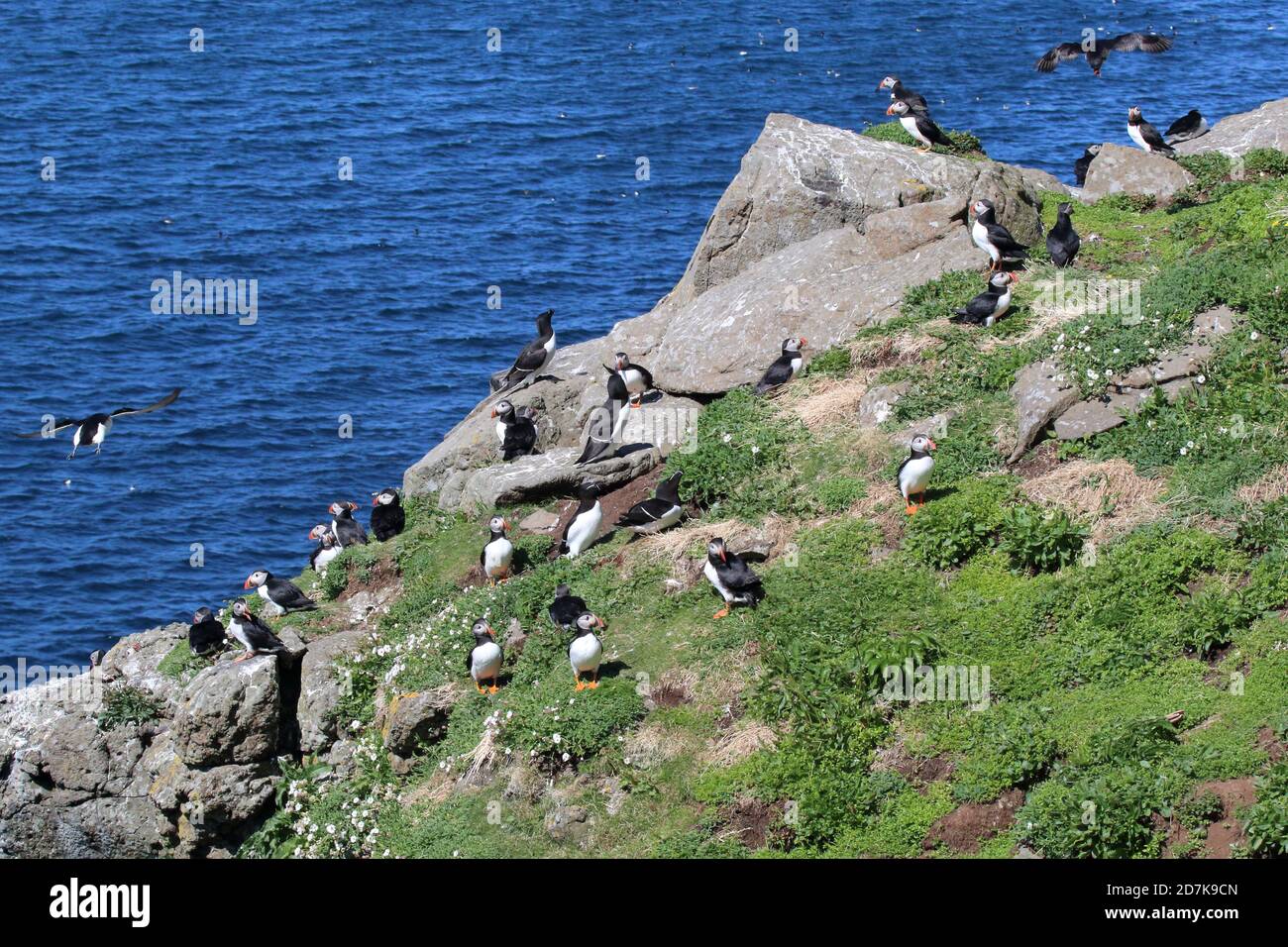 Lunga scotland hi-res stock photography and images - Alamy