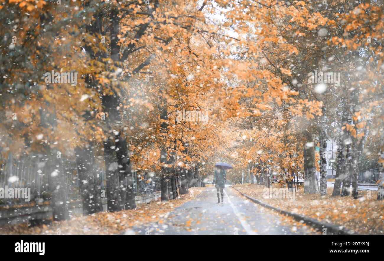 Autumn park in the first snow Stock Photo - Alamy