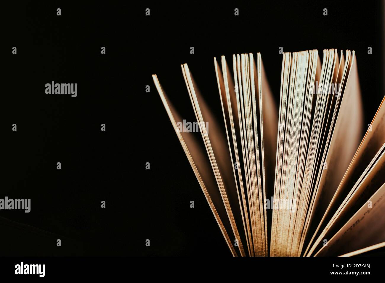 Opened old book with gold pages on a black background, copy space Stock ...