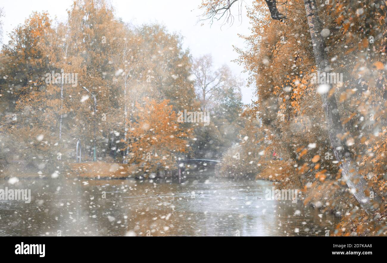 Autumn park in the first snow Stock Photo - Alamy