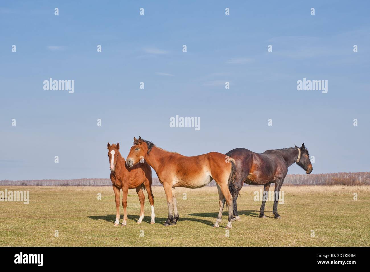 Child graze fall hi-res stock photography and images - Alamy