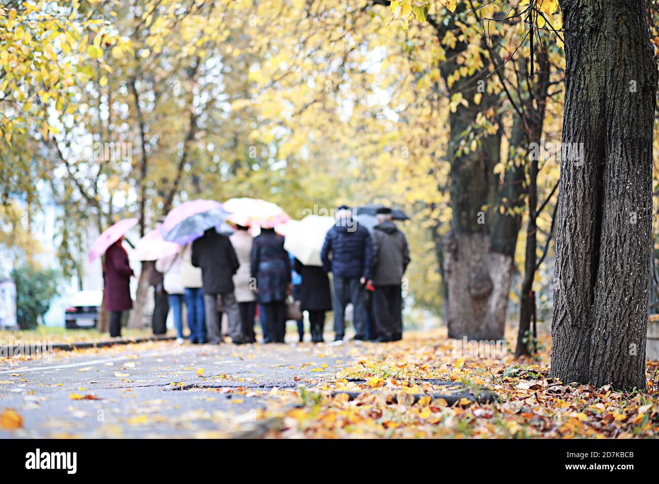 Autumn rain in the park Stock Photo - Alamy