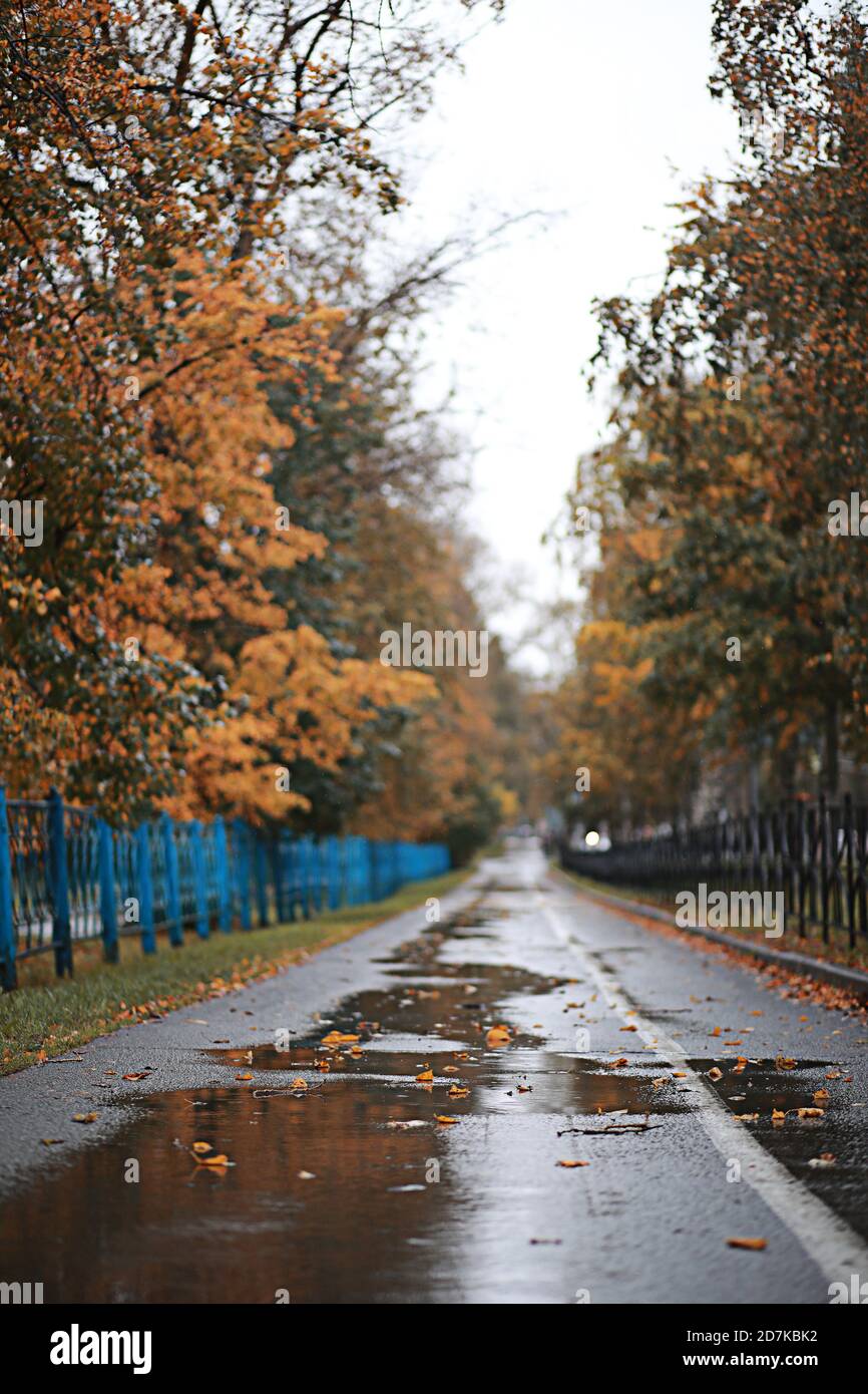 Autumn rain in the park Stock Photo - Alamy