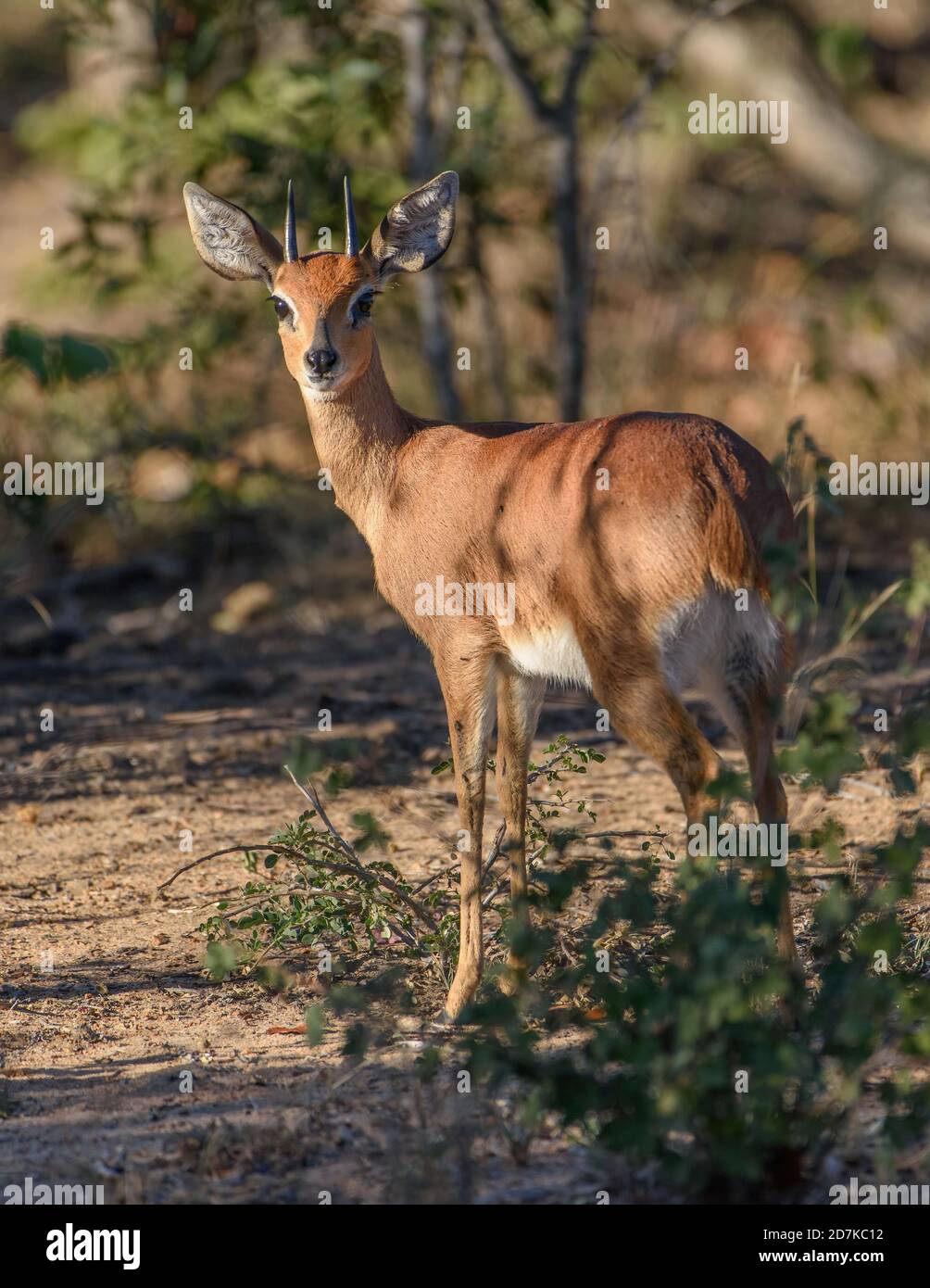 Eco tourism vertical hi-res stock photography and images - Alamy
